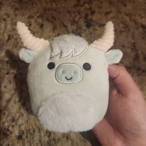 Squishmallows | Toys | Squishmallows Iver The Green Highland Cow Capsule 4 | Poshmark